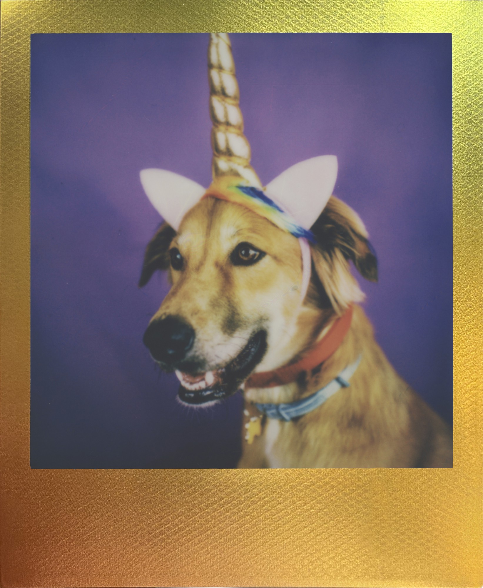 Polaroid lanciert neuen Color i-Type Film – Metallic Spectrum – Hartware